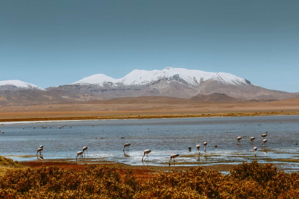 Descubra o Atacama: um lugar surreal | A Gazeta